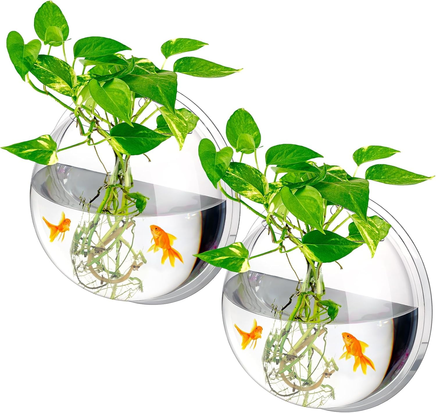 2 Pcs Hanging Wall 1 Gallon Fish Bowls Acrylic Wall Fish Bowls Clear ...
