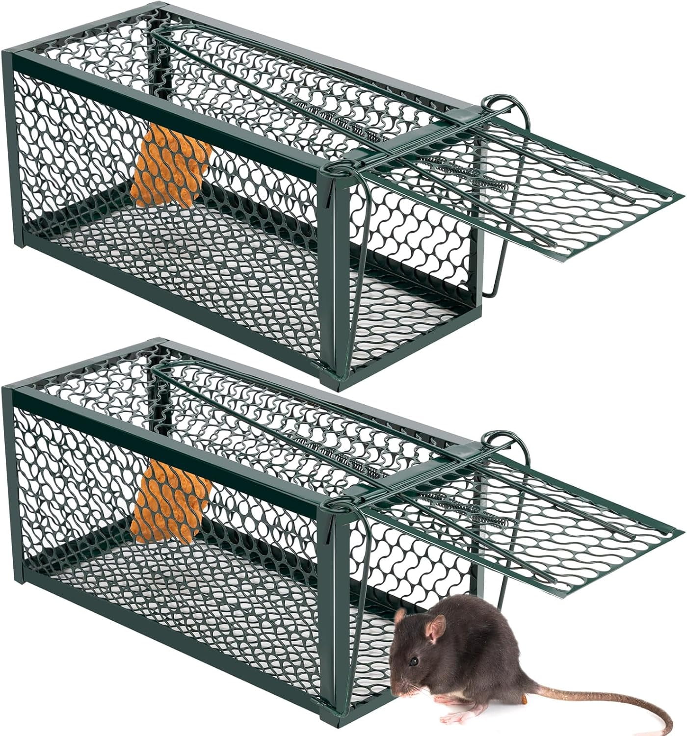 2 Pcs Humane Rat Trap Chipmunk Rodent Mouse Squirrel Trap Small Live ...