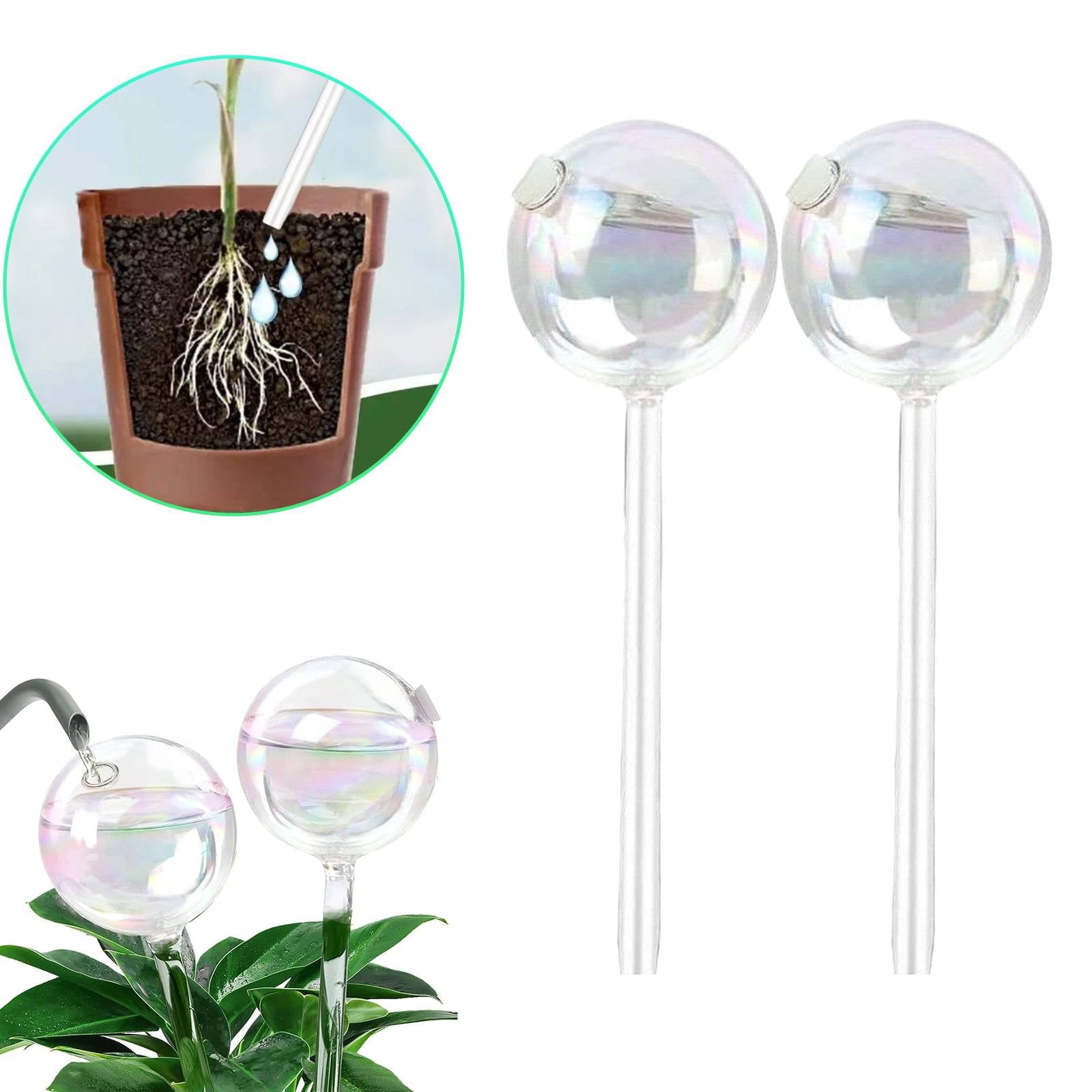 2 Pcs Iridescent Glass Watering Balls, Glass Rainbow Plant Watering ...
