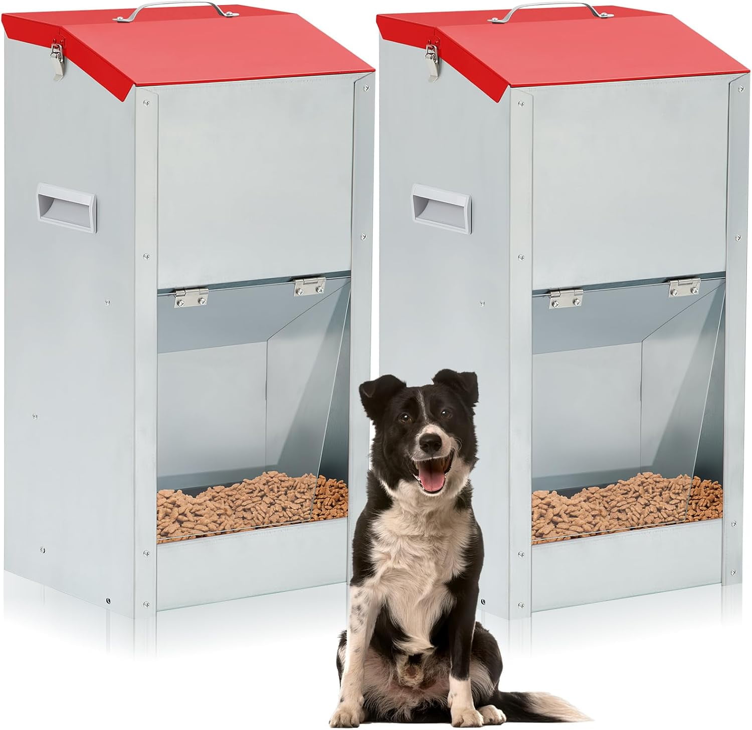 2 Pcs Large Automatic Dog Feeders with Handle Acrylic Panel Galvanized ...