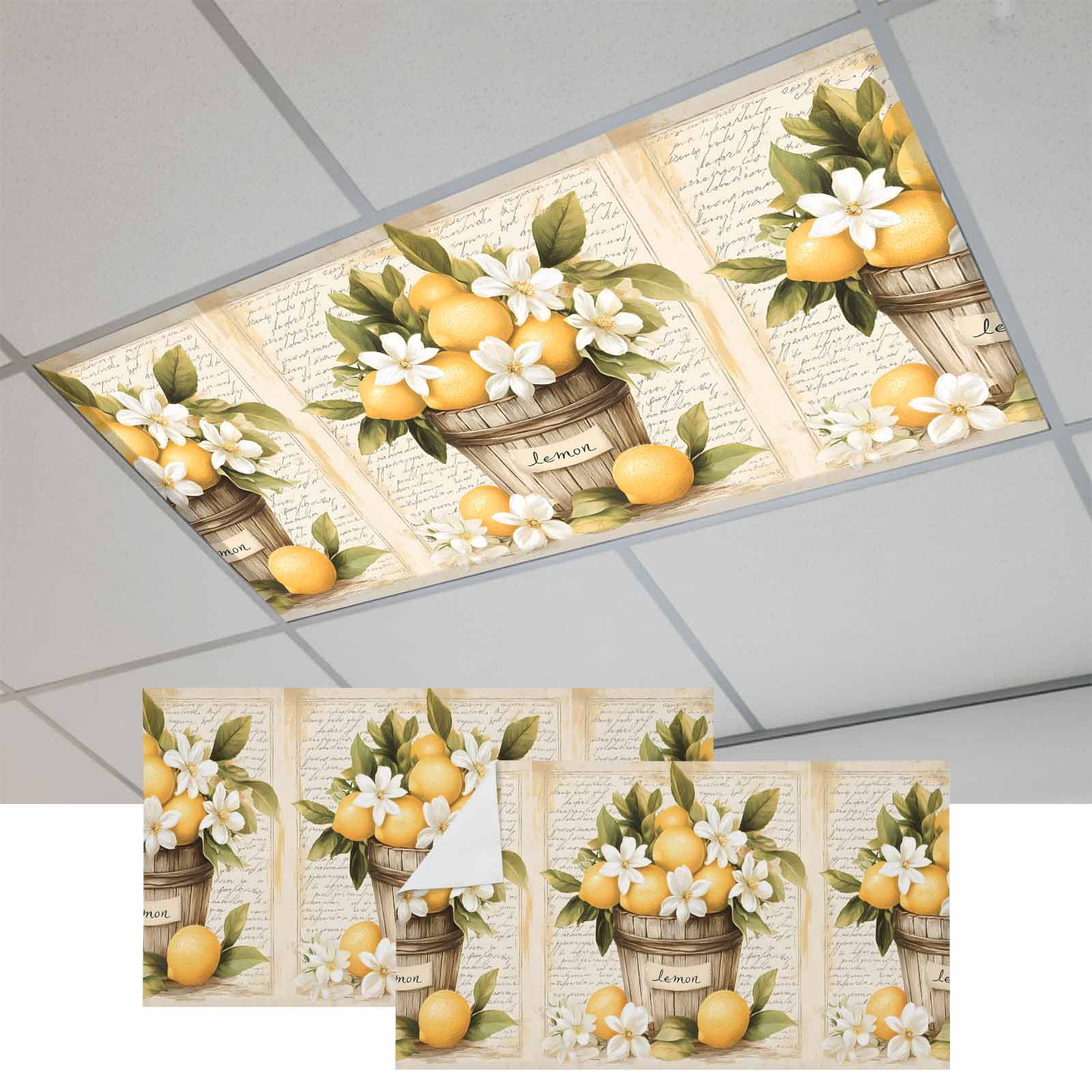 2 Pcs Lemon Fluorescent Light Covers Watercolor Fruit Vintage Magnetic ...