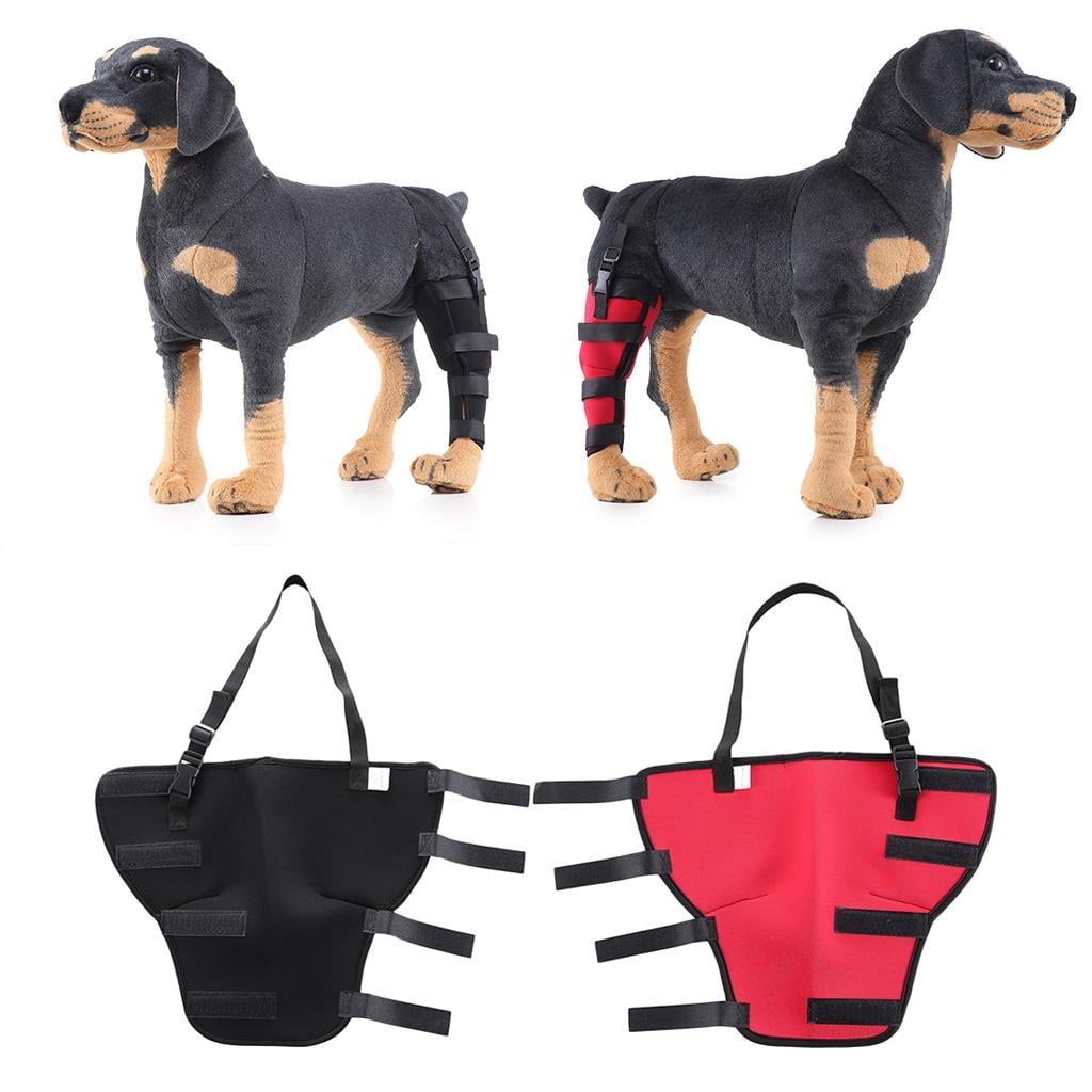 2 Pcs Mesh Dog Hock Rear Leg Joint Wrap Protects as They Heal ...