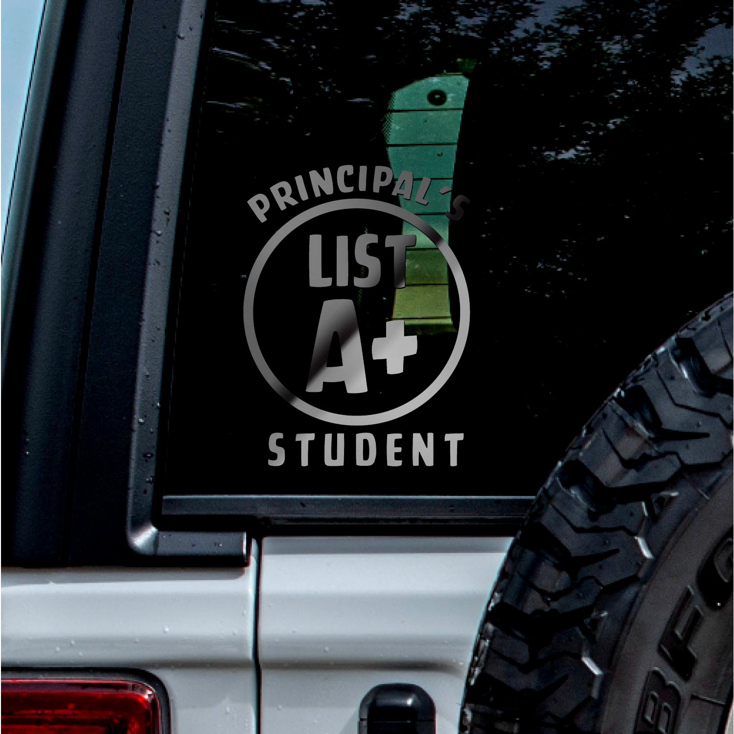 (2 Pcs, Metallic Silver, 10.5'' X 14'') Transparent Adhesive Decal ...