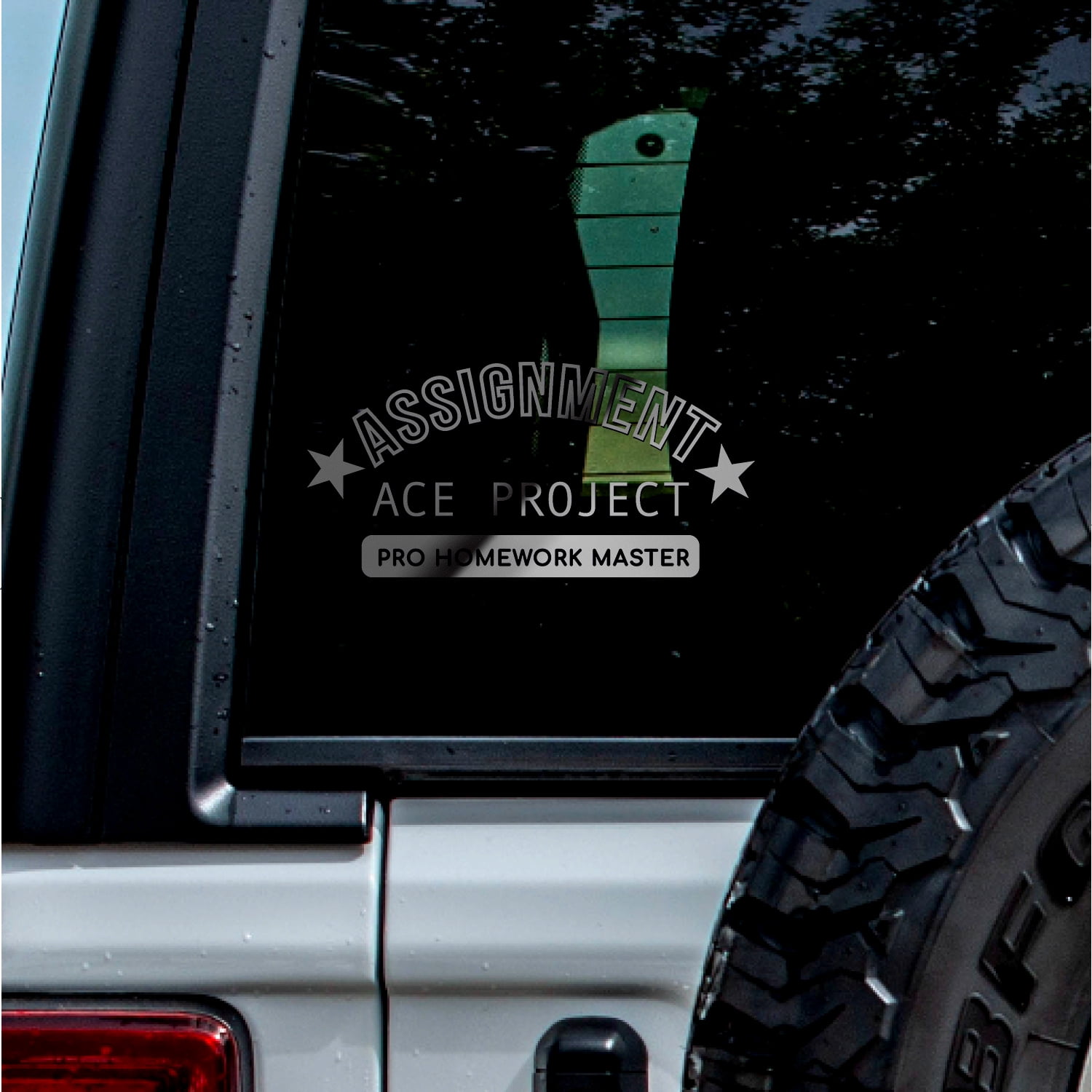 (2 Pcs, Metallic Silver, 14'' X 6.7'') Transparent Adhesive Decal ...