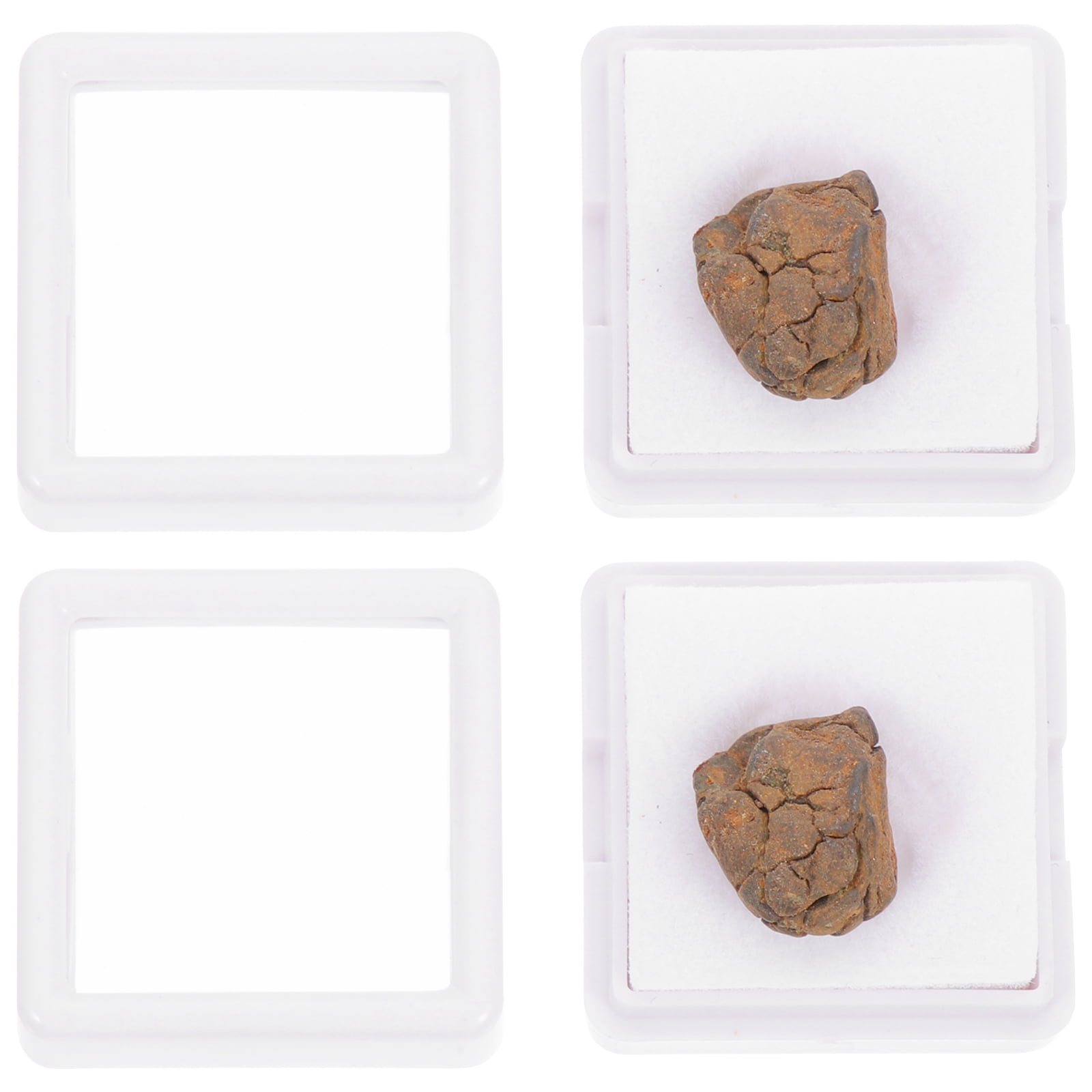 2 Pcs Meteor Piece Sight Olive Meteorite Meteorite Specimen Child 2X2cm ...