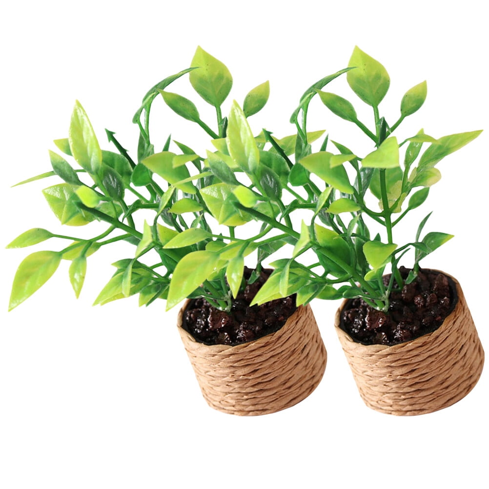2 Pcs Mini Orange Tree Garden Decor Miniature Potted Plants - Walmart.com