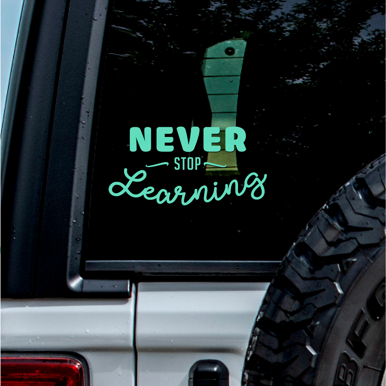 (2 Pcs, Mint, 14'' X 7'') Transparent Adhesive Decal Sticker Of Never ...
