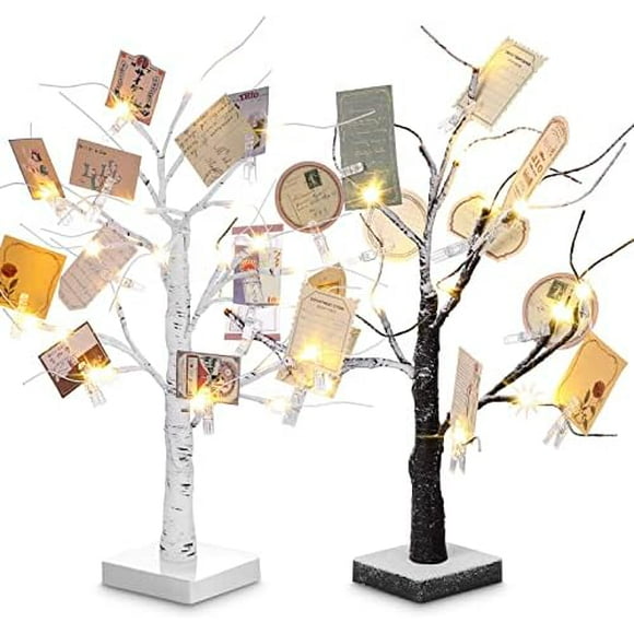 Gift Card Tree Display