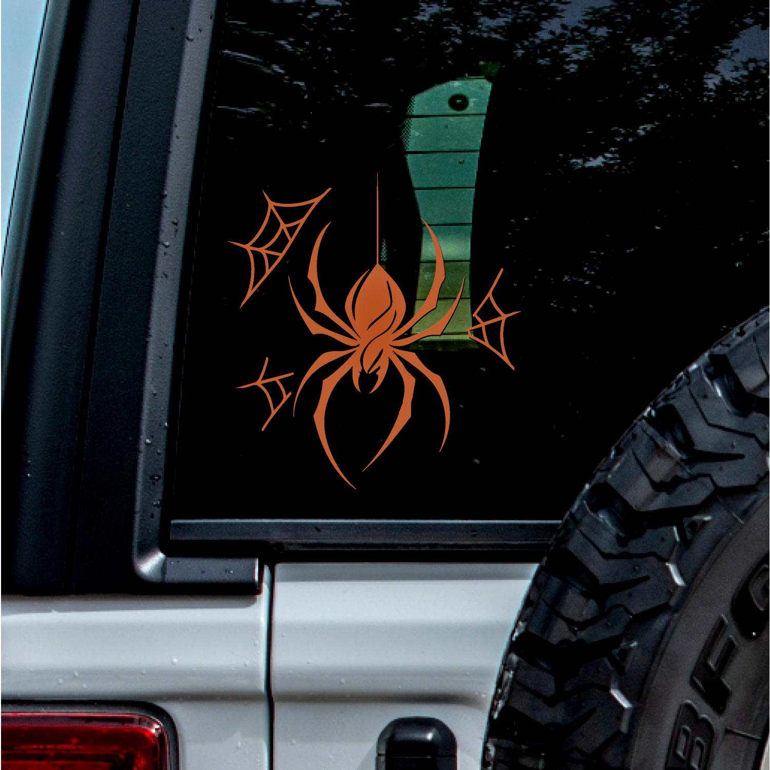 (2 Pcs Nut Brown 5.6'' x 6.0'') - No Background - Waterproof of Spider ...