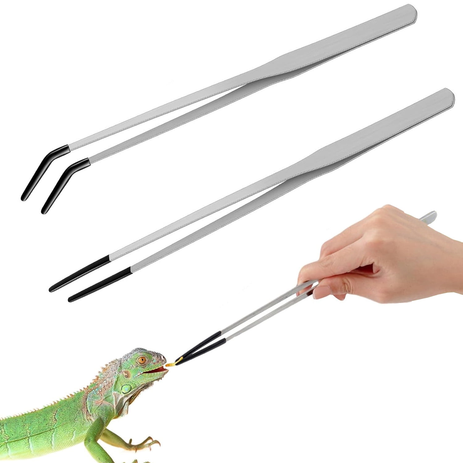 2 Pcs Reptile Feeding Tongs with Rubber Tip,Stainless Steel Curved and ...