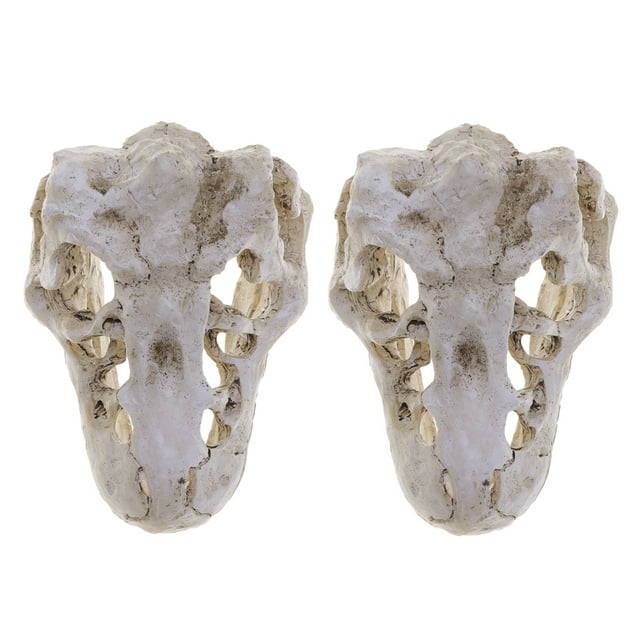 2 Pcs Reptile Hide Cave Lizard Aquarium Skull Dinosaur Decor White ...