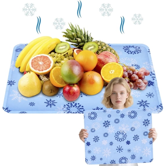 2 Pcs Reusable Freezable Ice Mat for Buffet Table Chilled Serving Tray ...