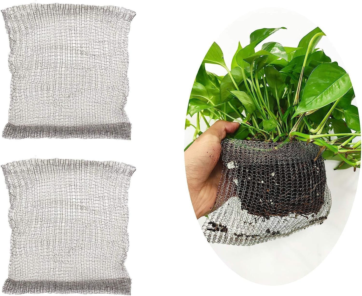 2 Pcs Root Guard Baskets 1 Gallon Stainless Steel Plant Wire Speed ...