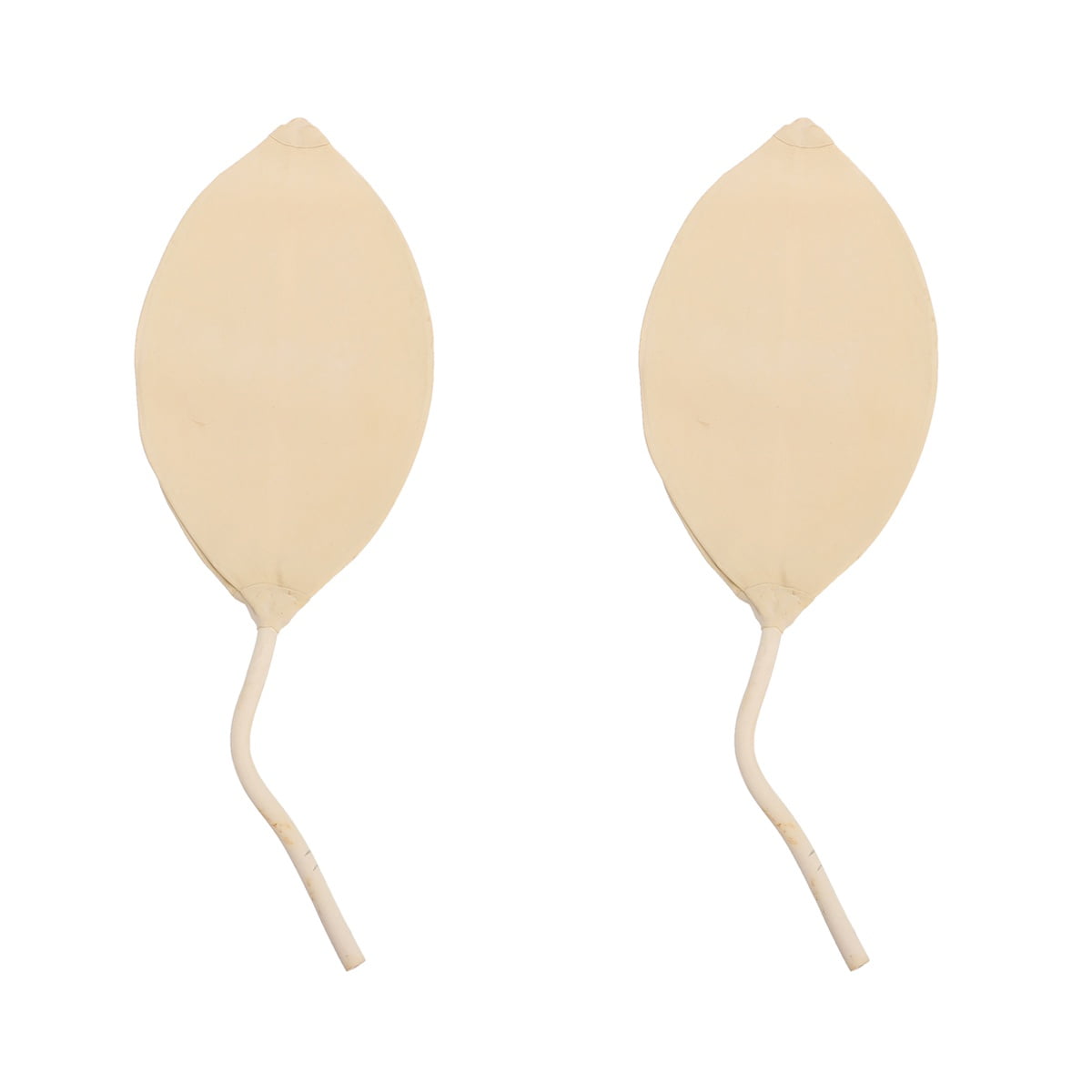 2 Pcs Sampling Balloon Indoor Gas Bladder Sample Bladders Labs Internal ...