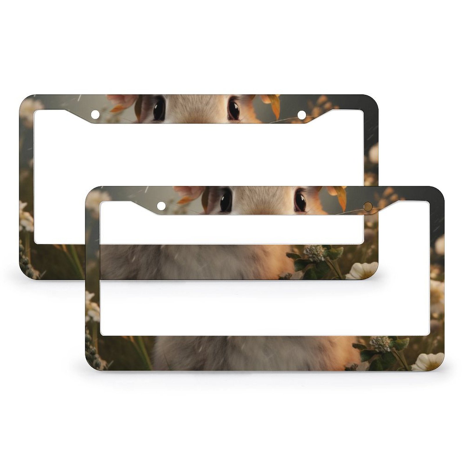 2 Pcs Set Cartoon Bunny With Florals License Plate Cover Pet Bunny ...