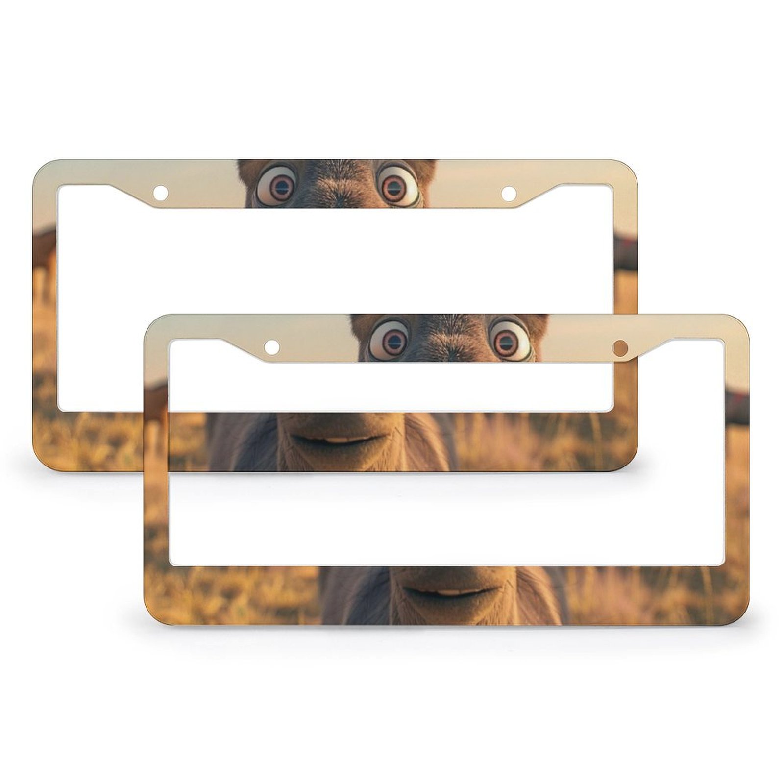 2 Pcs Set Happy Donkey License Plate Frames Donkey Lovers Car License ...