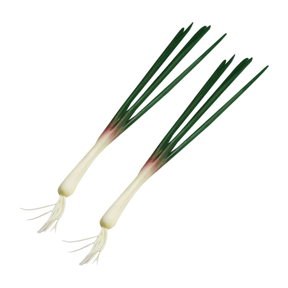 2 Pcs Simulated Onion Model Fake Green Onions Household Decor ...