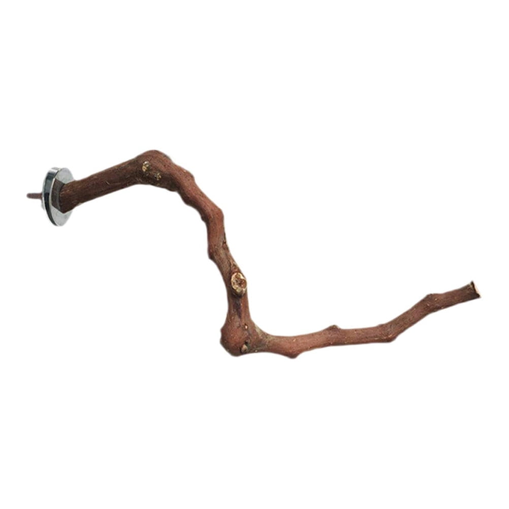 2 Pcs Squeaky Bird Insect Repellent Stand Cage Boredom Relief - Walmart.com