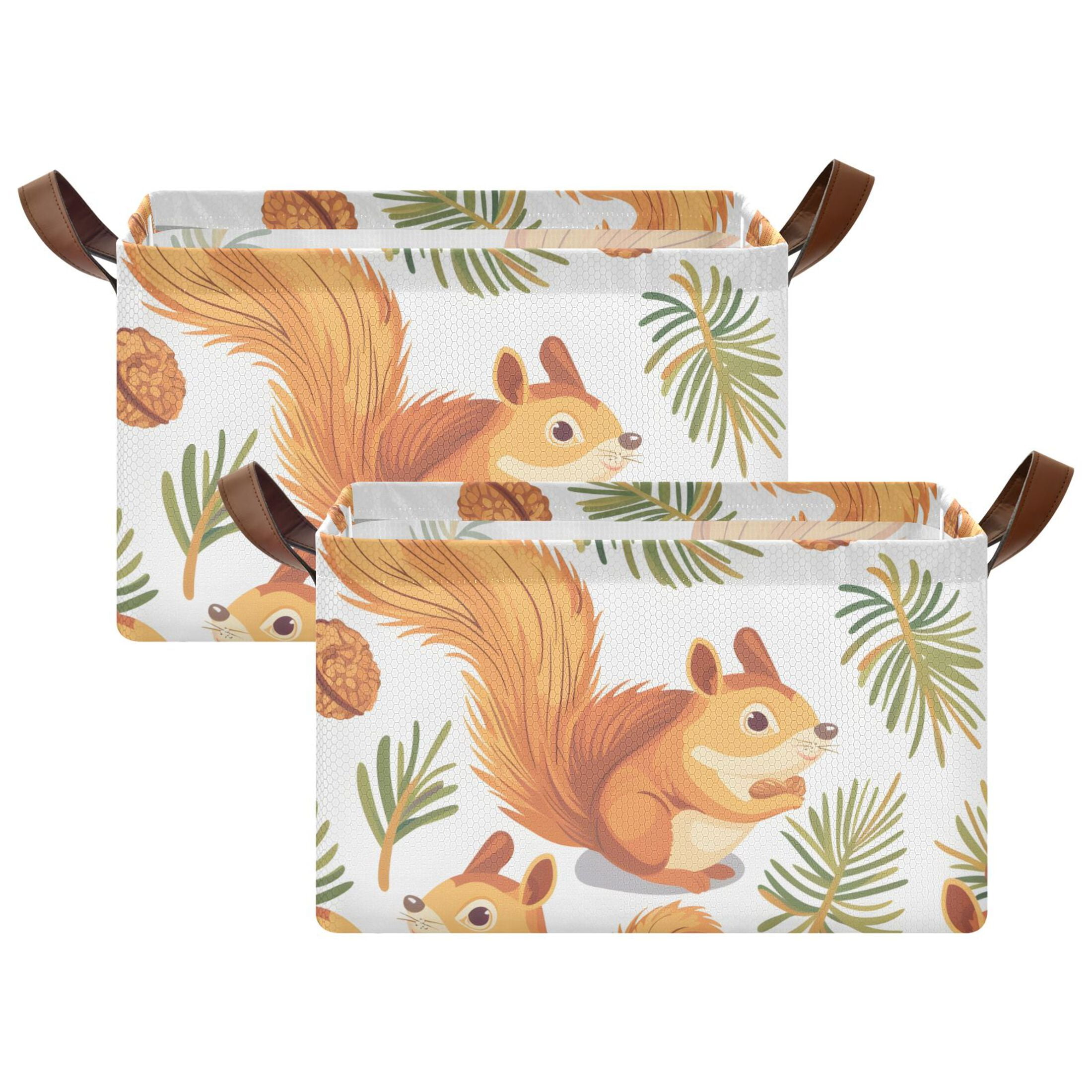 2 Pcs Squirrel and Pine Nut Collapsible Storage Bins Fabric Shelf ...