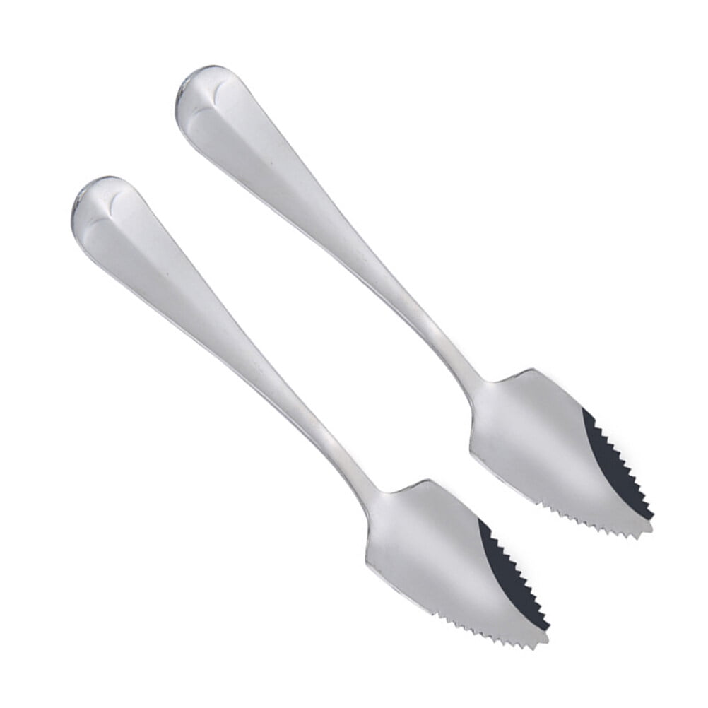 2 Pcs Stainless Steel Fruit Spoons with Serrated Long Handle Grapefruit ...