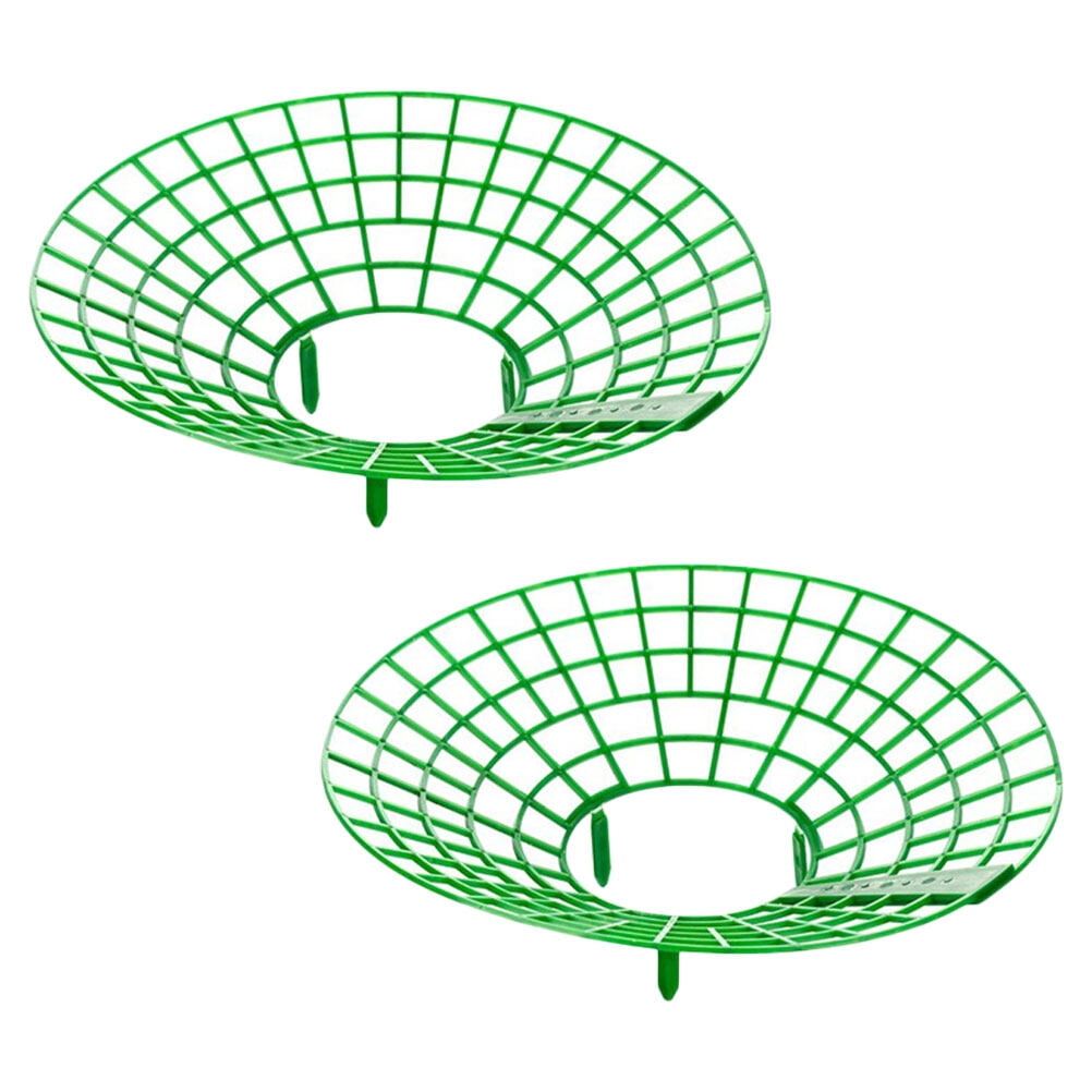 2 Pcs Strawberry Planting Rack Supports Stand Just-ripening ...