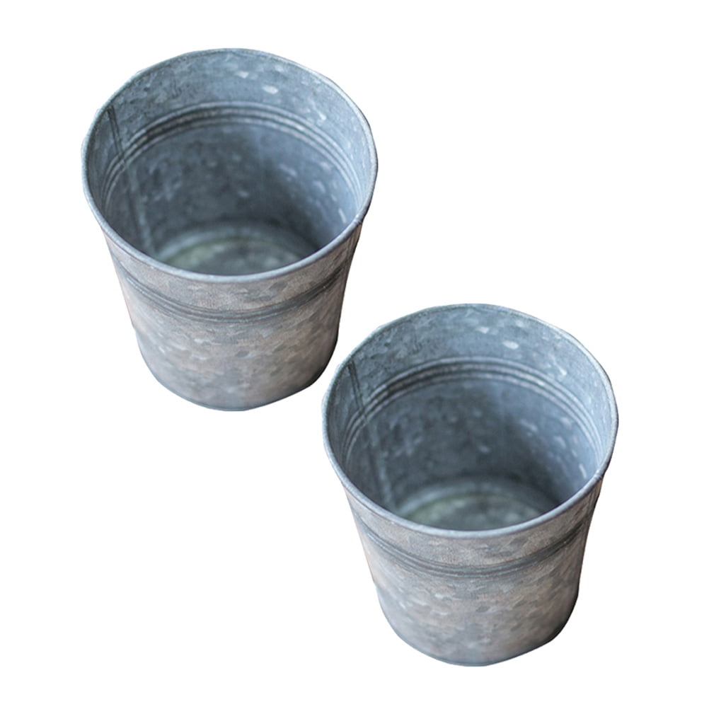 2 Pcs Tin Succulent Flower Pot Decor Plant Pot Bucket Practical Flower ...