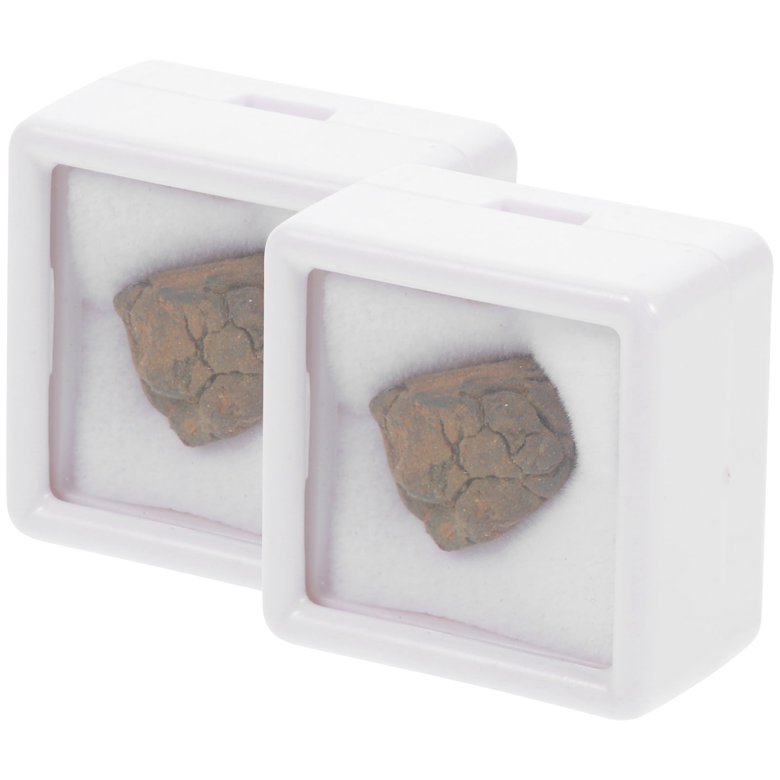 2 Pcs for Adults Science Olive Meteorite Meteorite Specimen Child 2X2cm ...