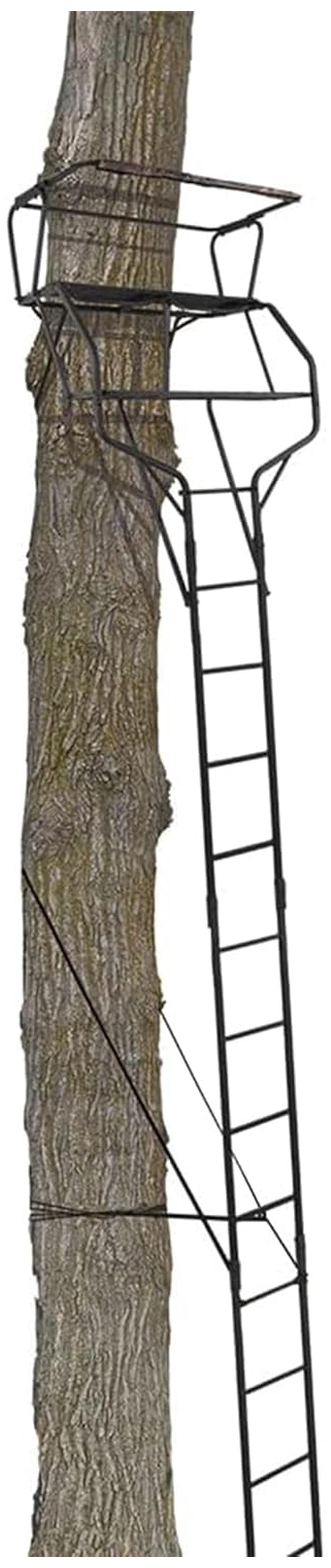 2-Person Ladder Tree Stand for Hunting Deer with Seats, 18' Tall, Camo ...
