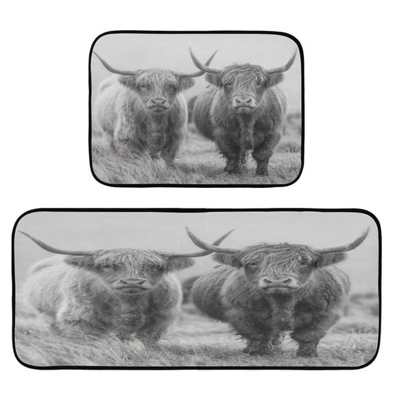 2-Piece Kitchen Mat Set Non Slip Washable Floor Mats Decorative Rugs ...