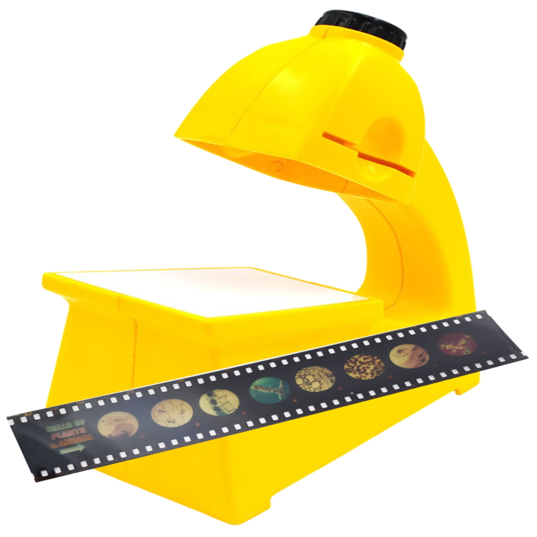 2 Piece Micro-Slide Viewer & Viewer Set - Includes One Economy ...