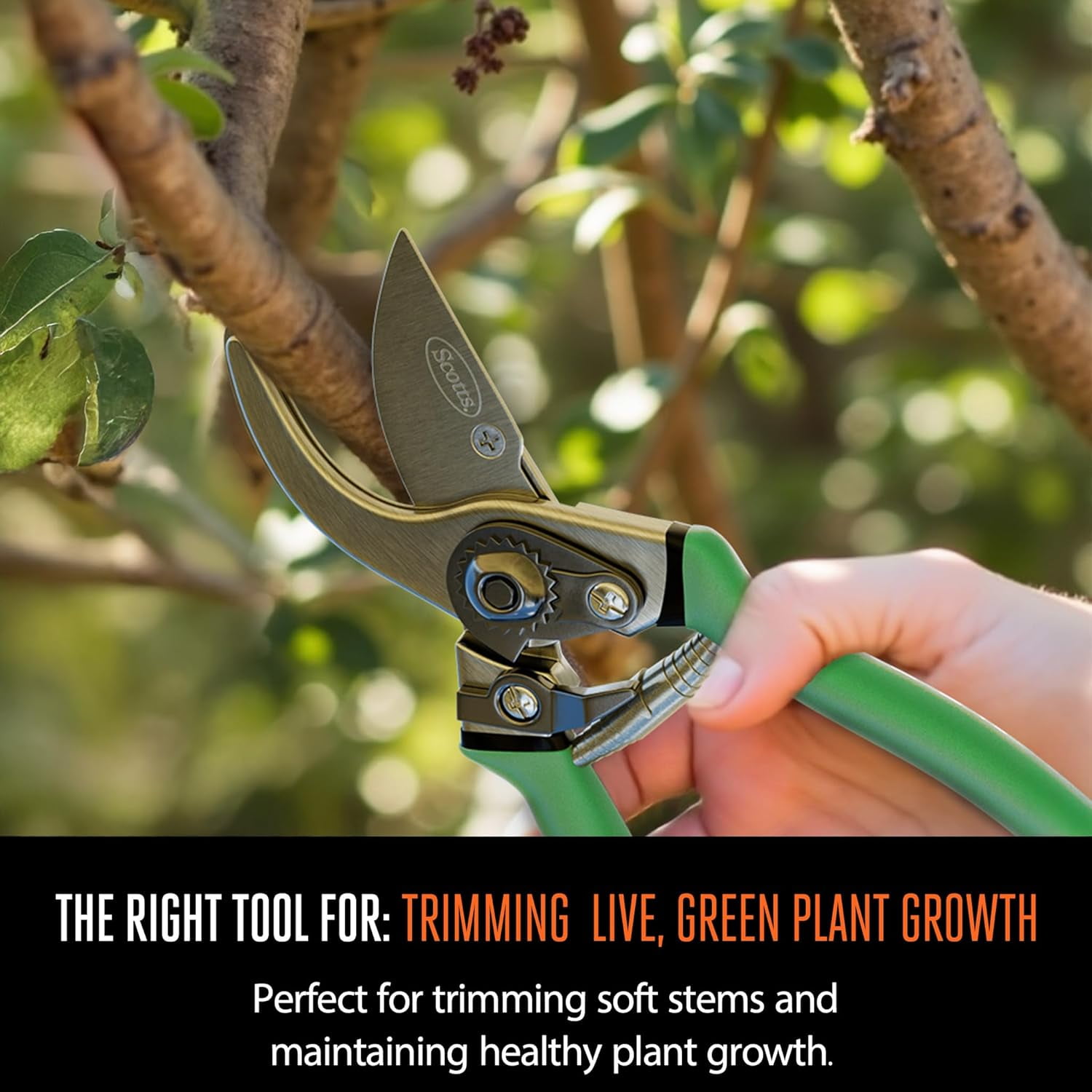 2-Piece Pruning Shears Set – 8" & Bypass Pruners with Carbon Steel ...