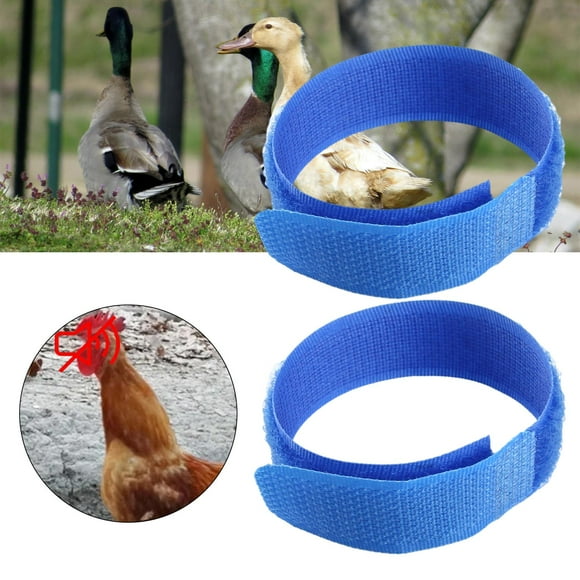 2 Inch Neck Collar