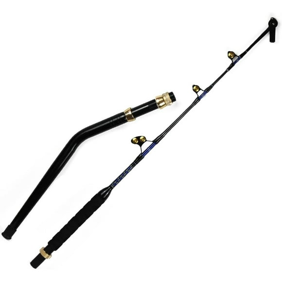 Roller Tip Fishing Rod