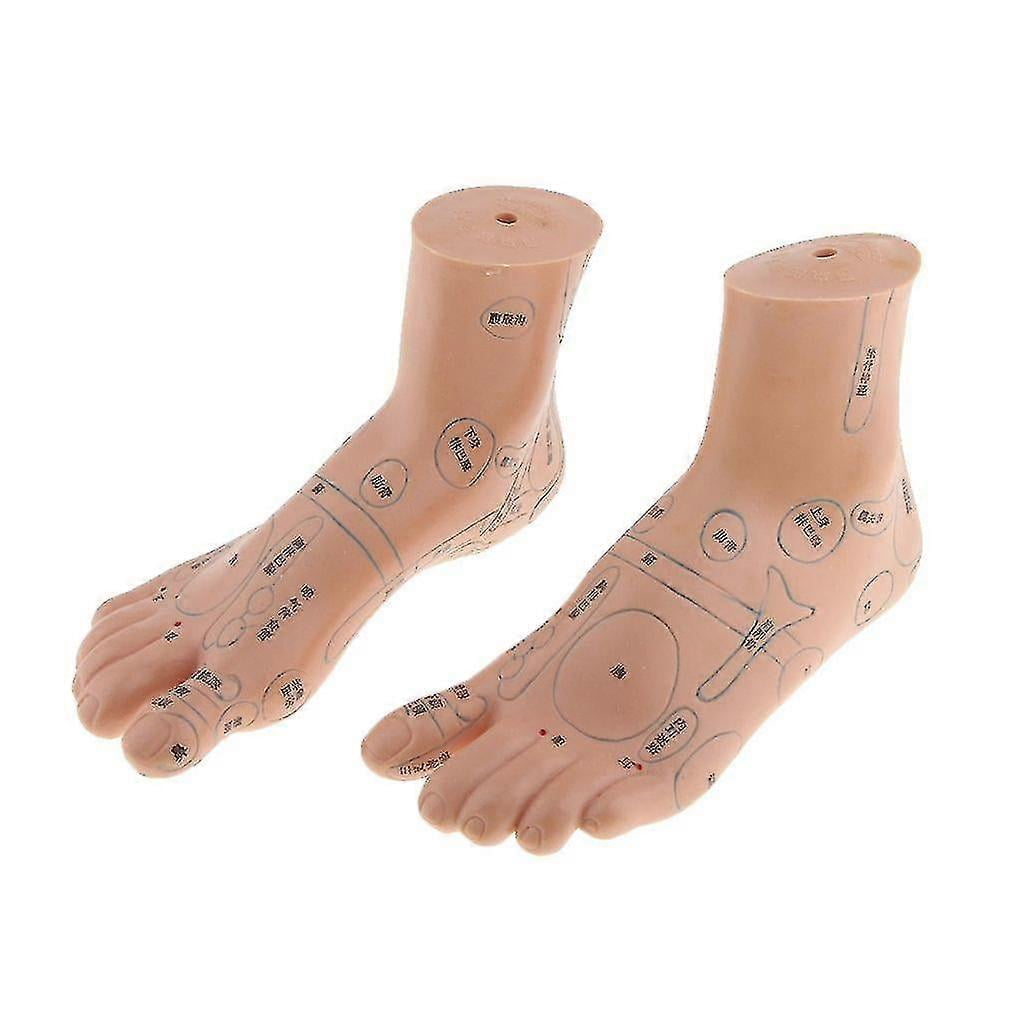 2 Pieces Foot Reflexology Massage Model English Code Tcm Feet ...
