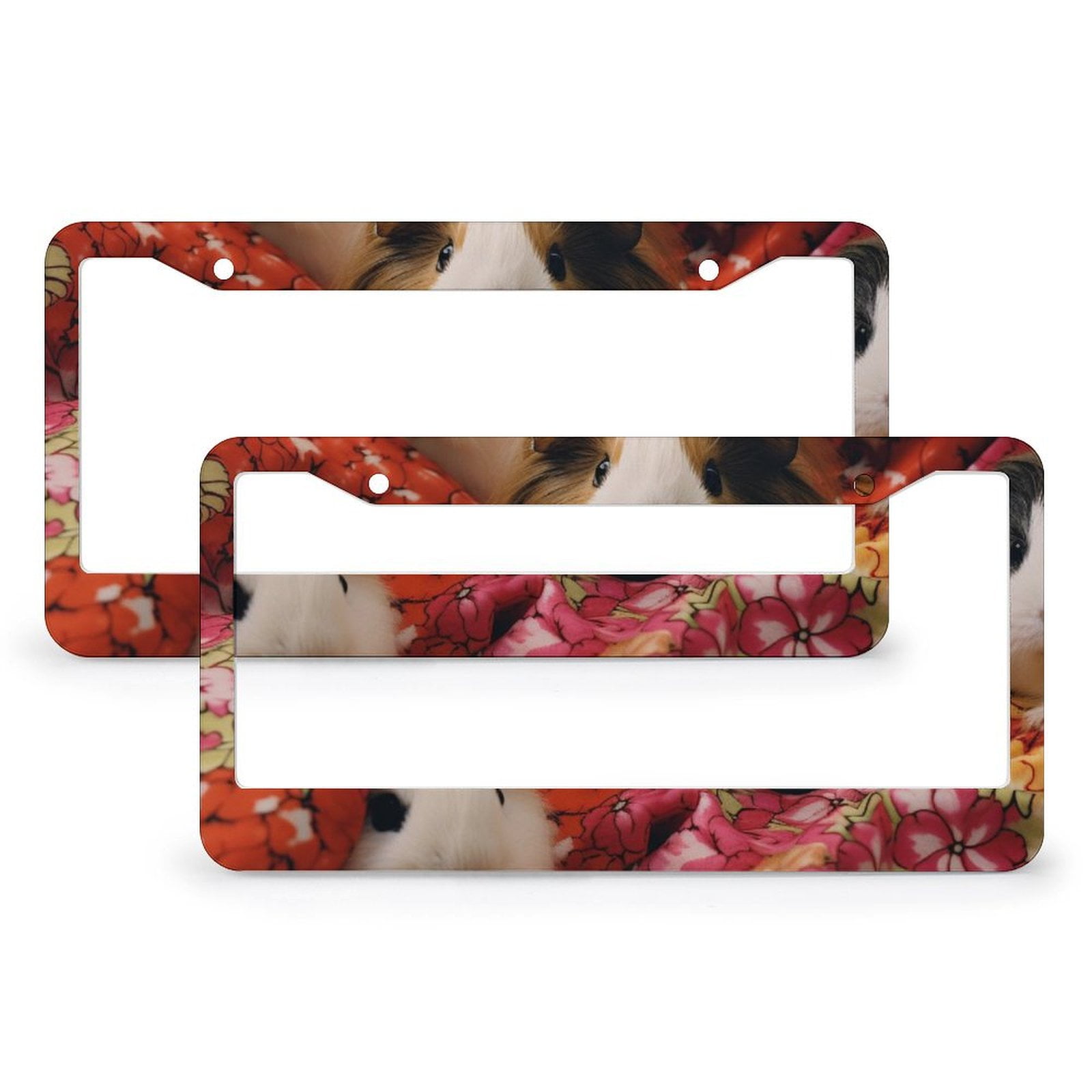 2 Pieces Guinea Pig License Plate Frame Cute Little Animal Auto ...