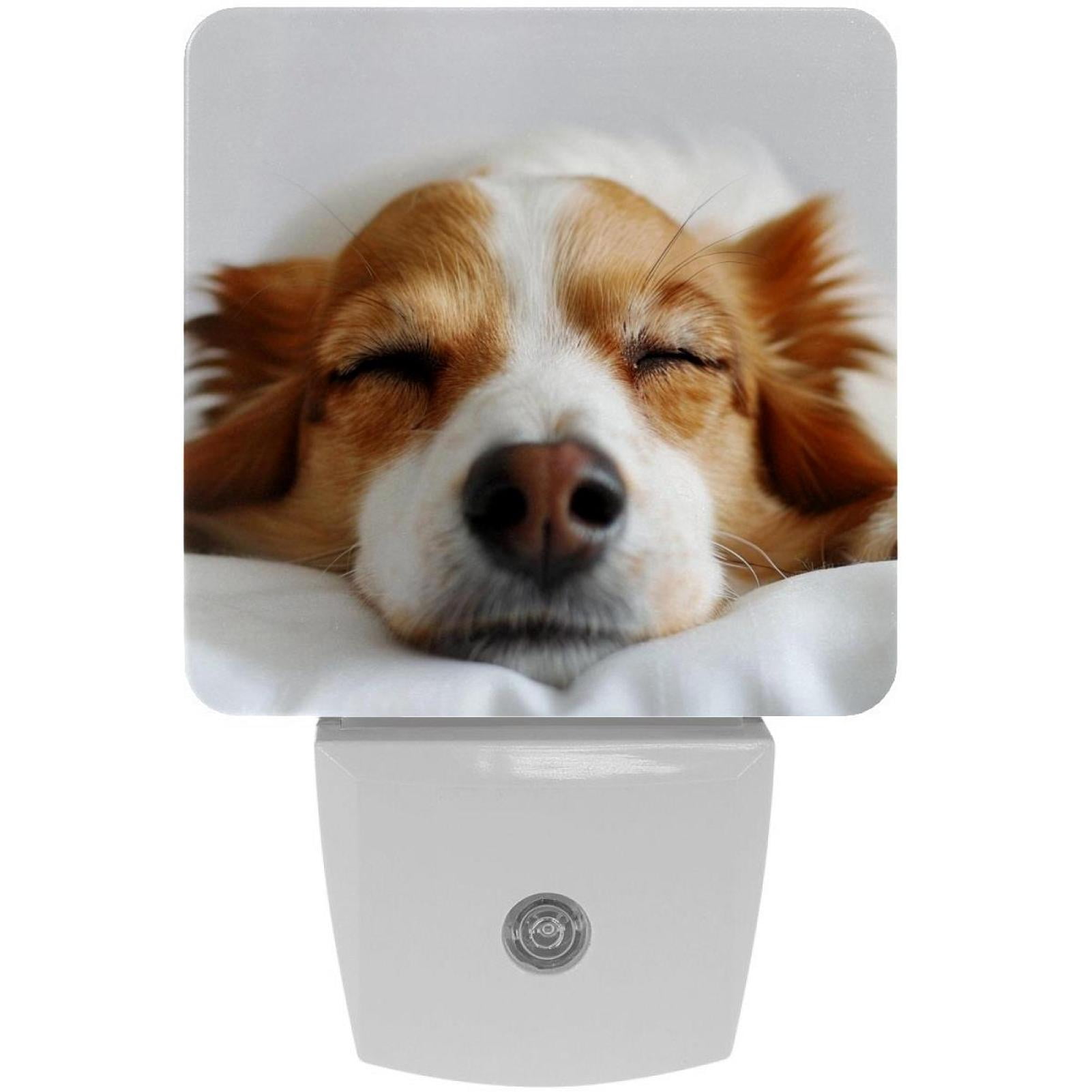 2 Pieces Night Light, Sleeping Dog Print Night Lights Plug into Wall ...