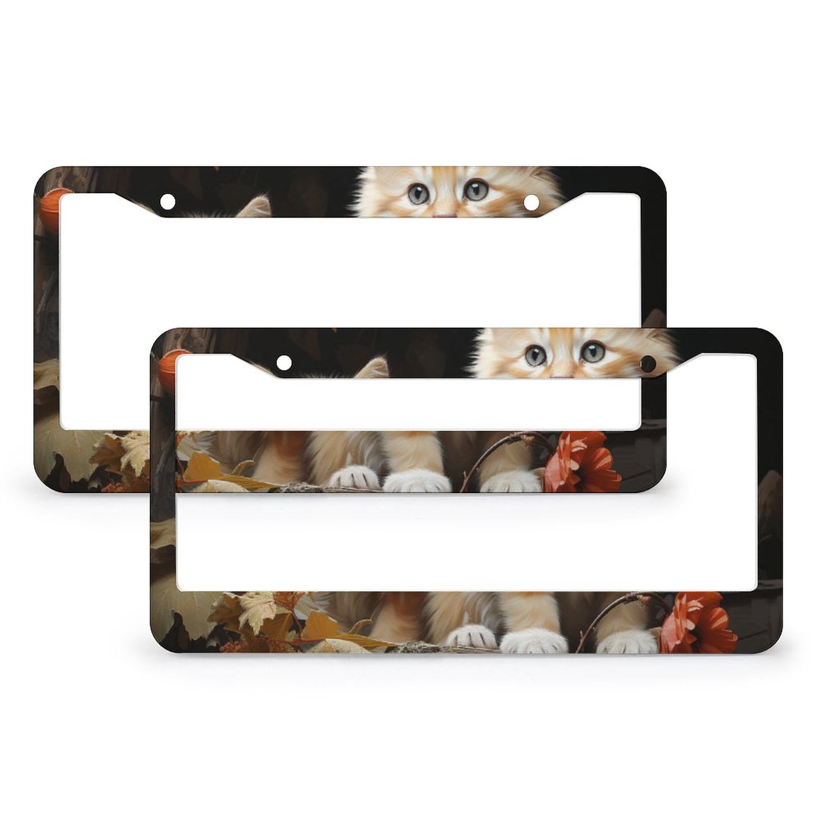 2 Pieces Welcome Fall Cat License Plate Frames Cat Themed Gift For Cat ...