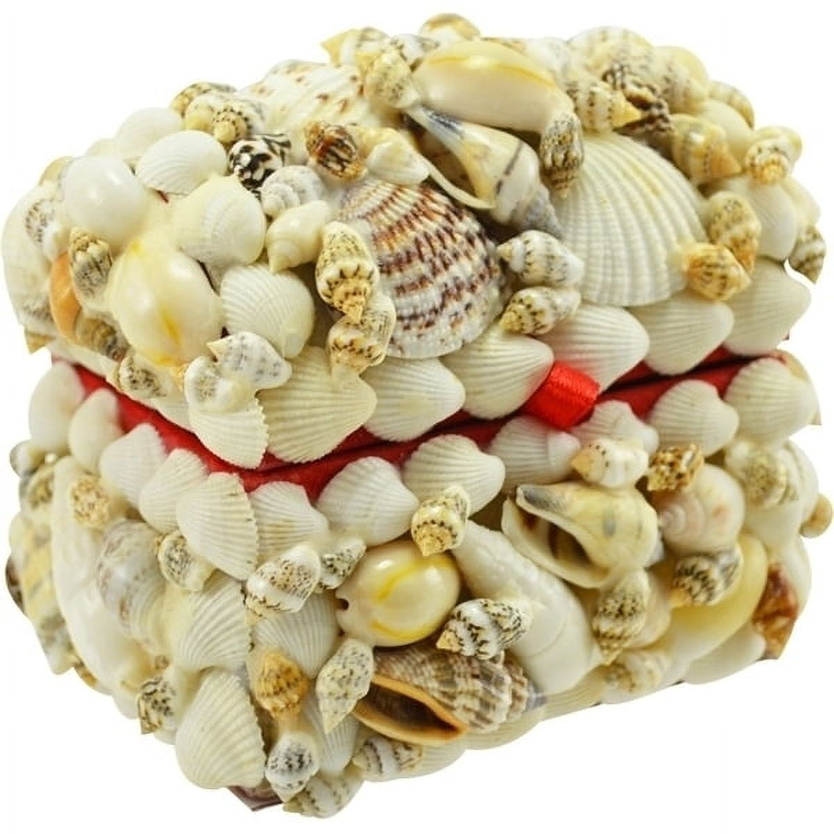 2 Pirate Decorative Shells Box 3x2" (Set of 2) - Walmart.com