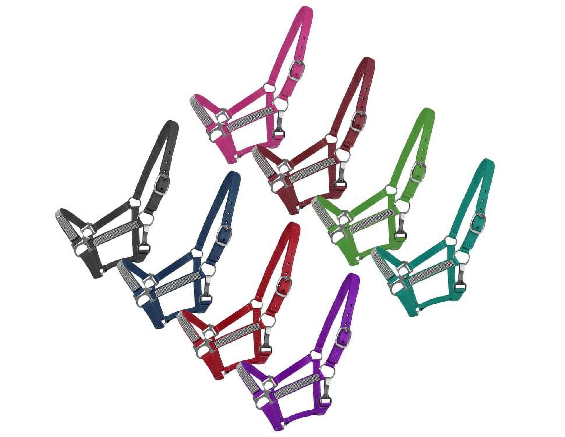 2-Ply Medium/Large Pony Nylon Halter w/ Crystals (Black) - Walmart.com