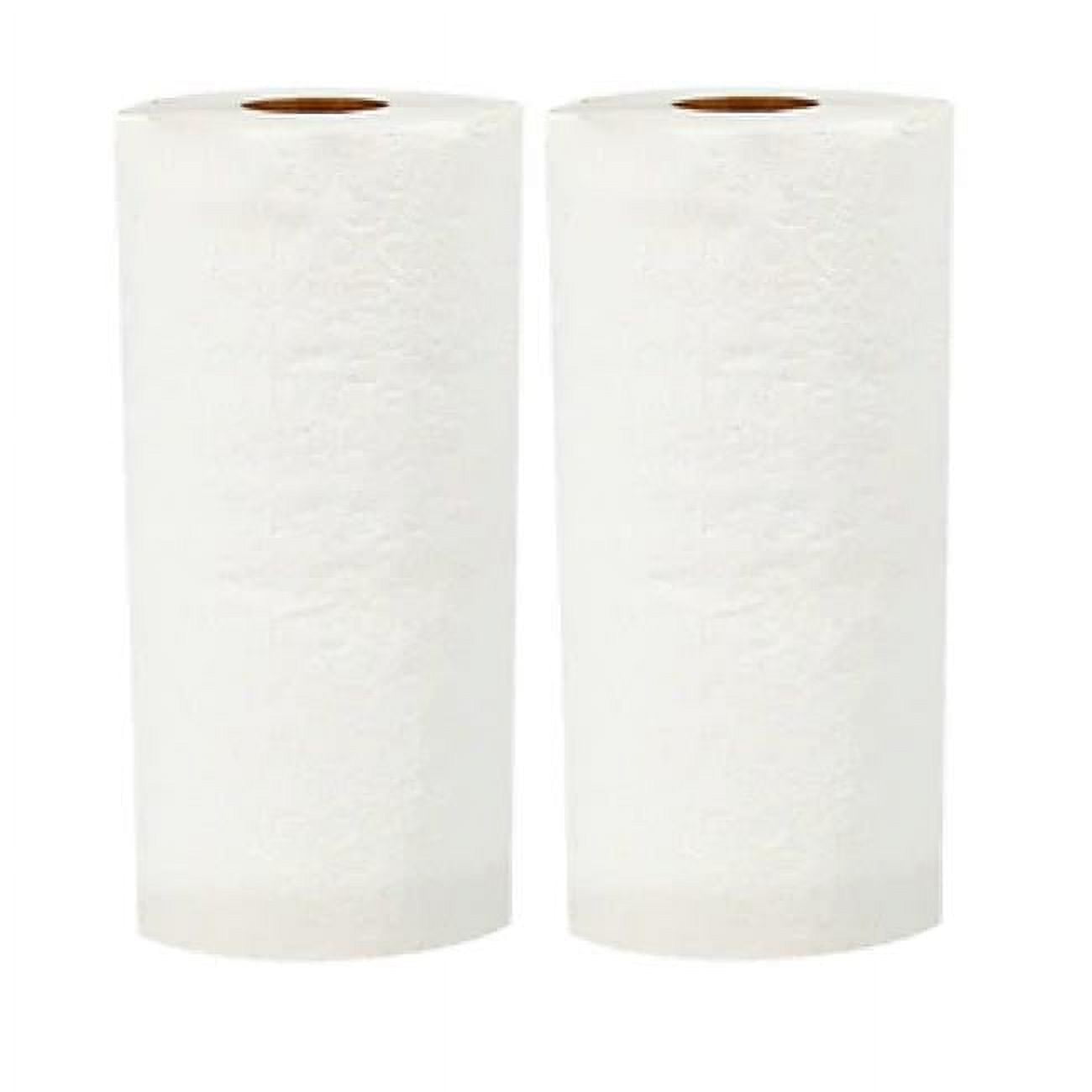 2-Ply Toilet Paper - 2 Roll - Walmart.com