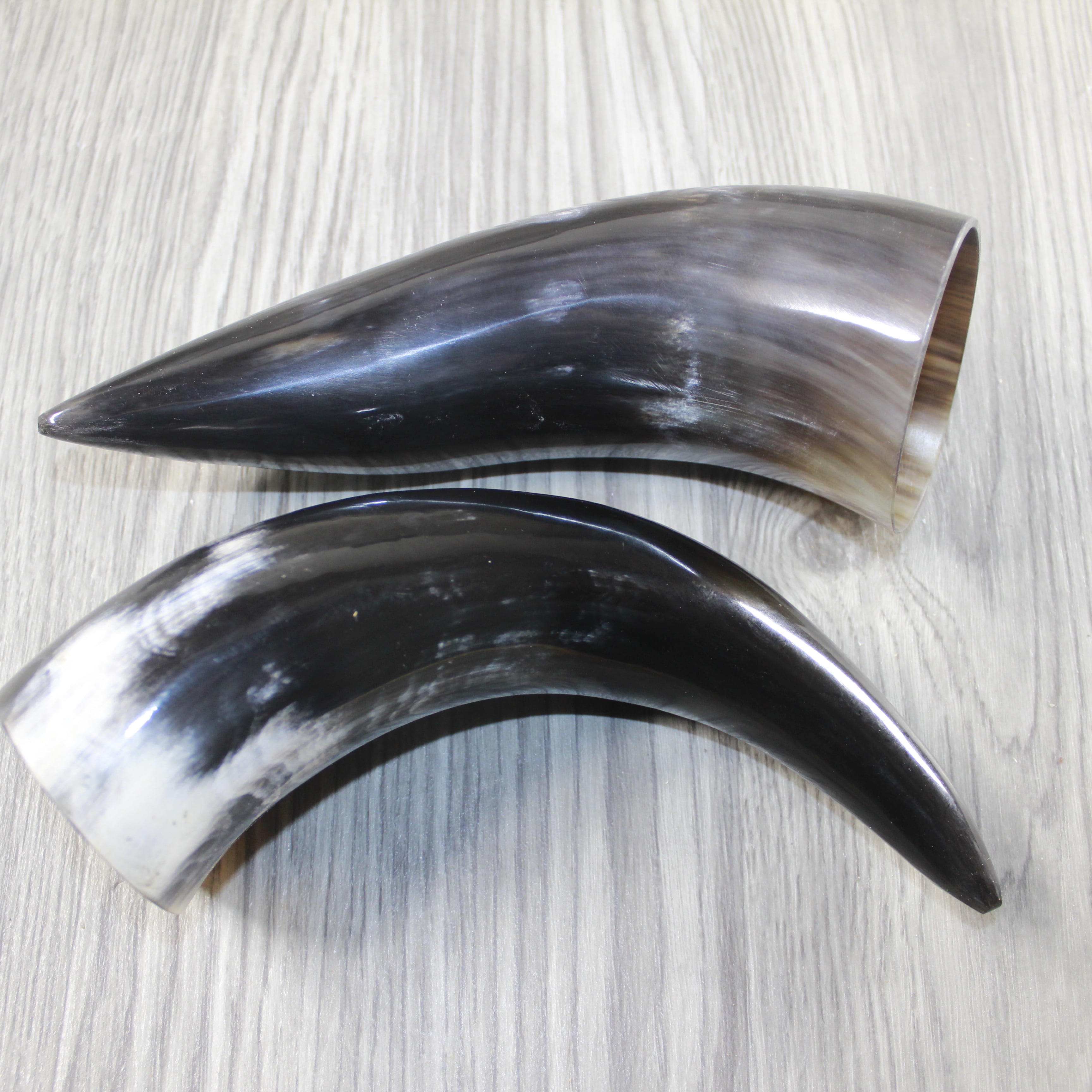 2 Polished Cow Horns #8245 Natural colored - Walmart.com