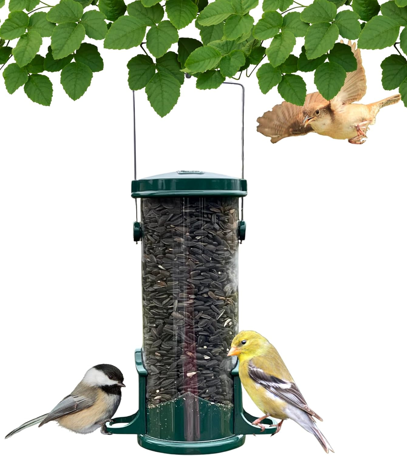 2 Port Petite Green Tube Bird Feeder with Metal Cap, Perches and ...