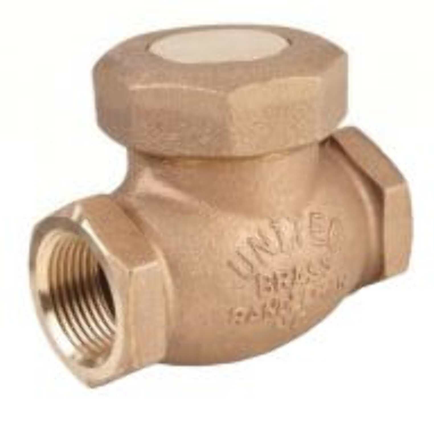 2" SPRING LOADED CHECK VALVE - Walmart.com