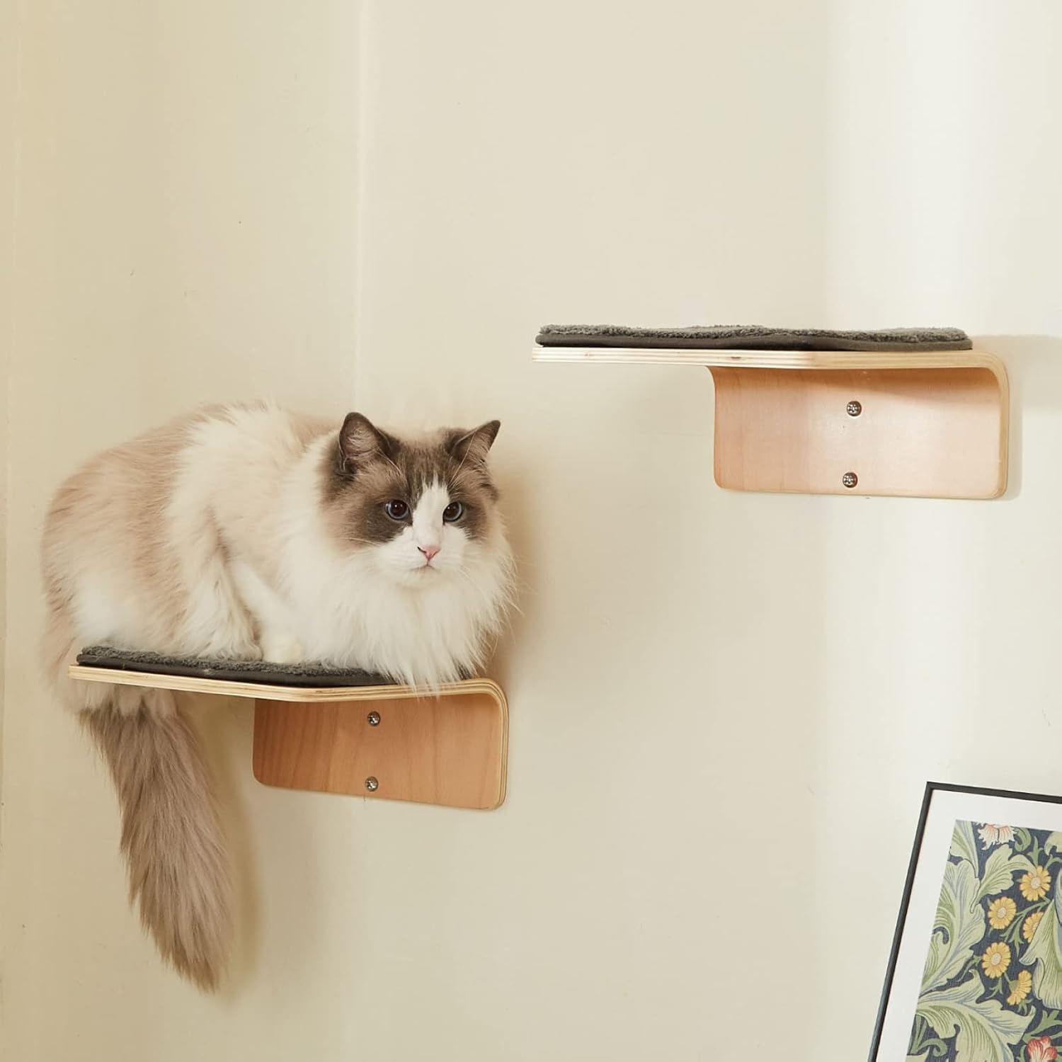 2 Set Cat Wall Steps - Wooden Cat Climbing Shelf for Wall - Cats Wall ...