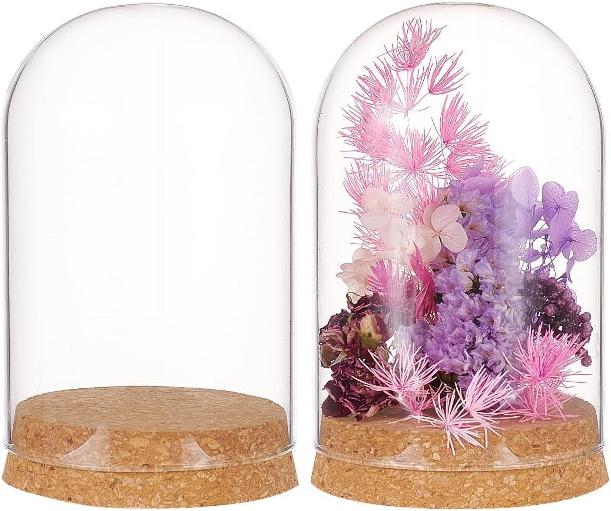 2 Set Glass Display Dome with Cork Base 3.14x4.6 inch Tabletop ...