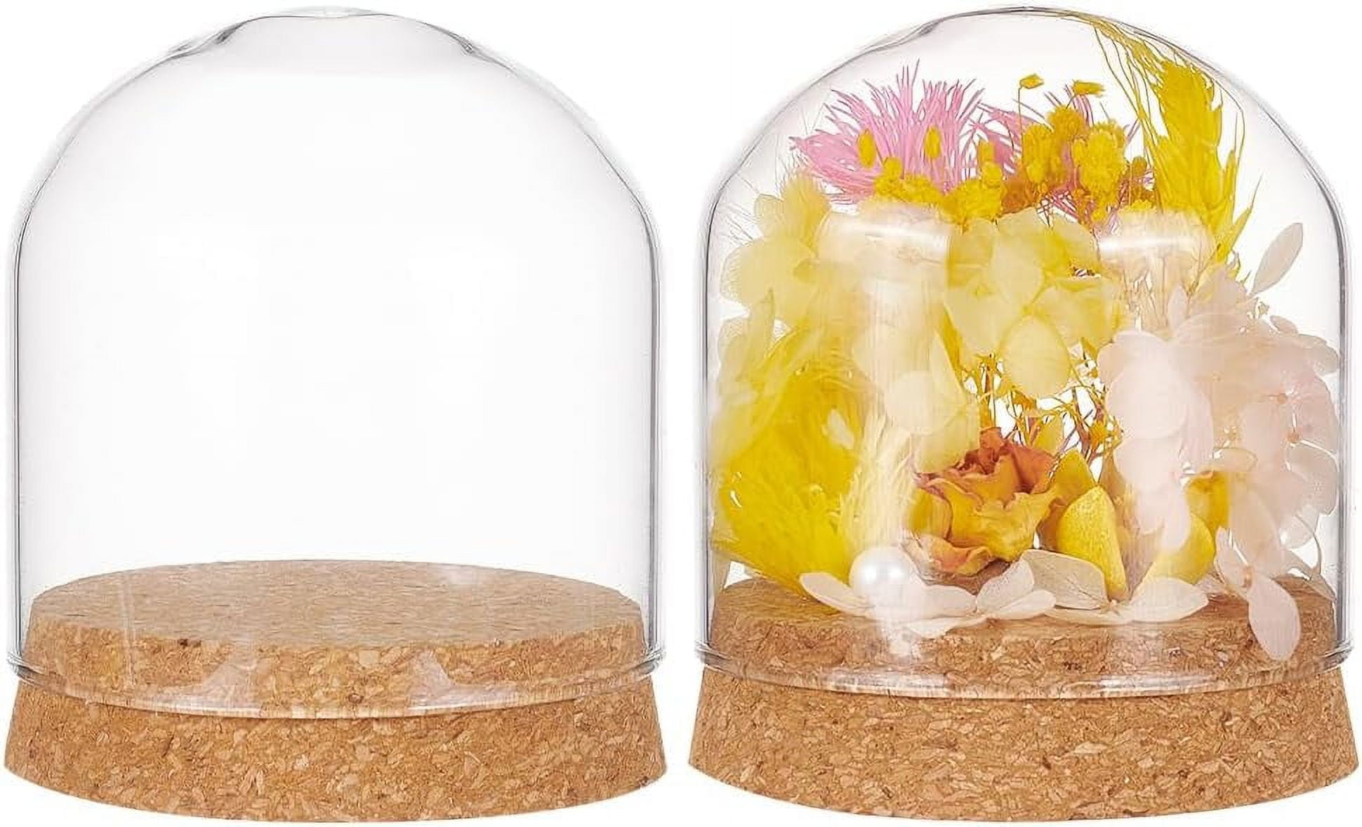 2 Set Glass Display Dome with Cork Base 3.1x2.8 inch Tabletop ...