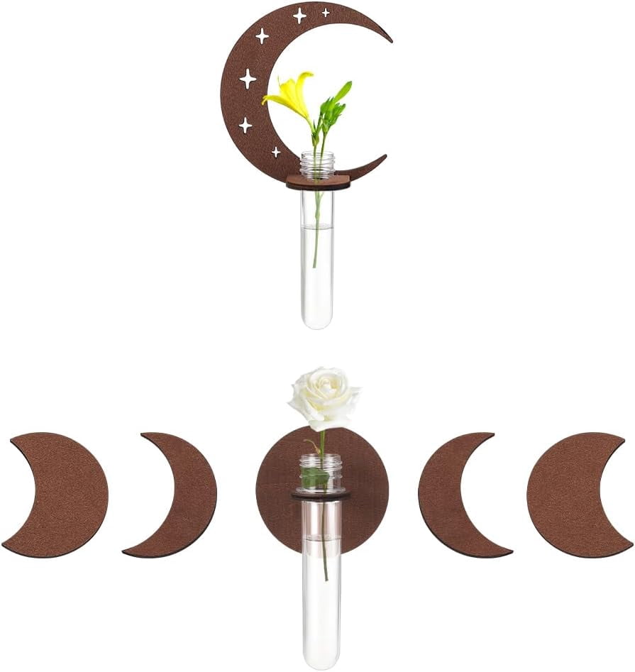 2 Set Moon Plant Propagation Station Moon Phase Wall Hanging Terrarium ...