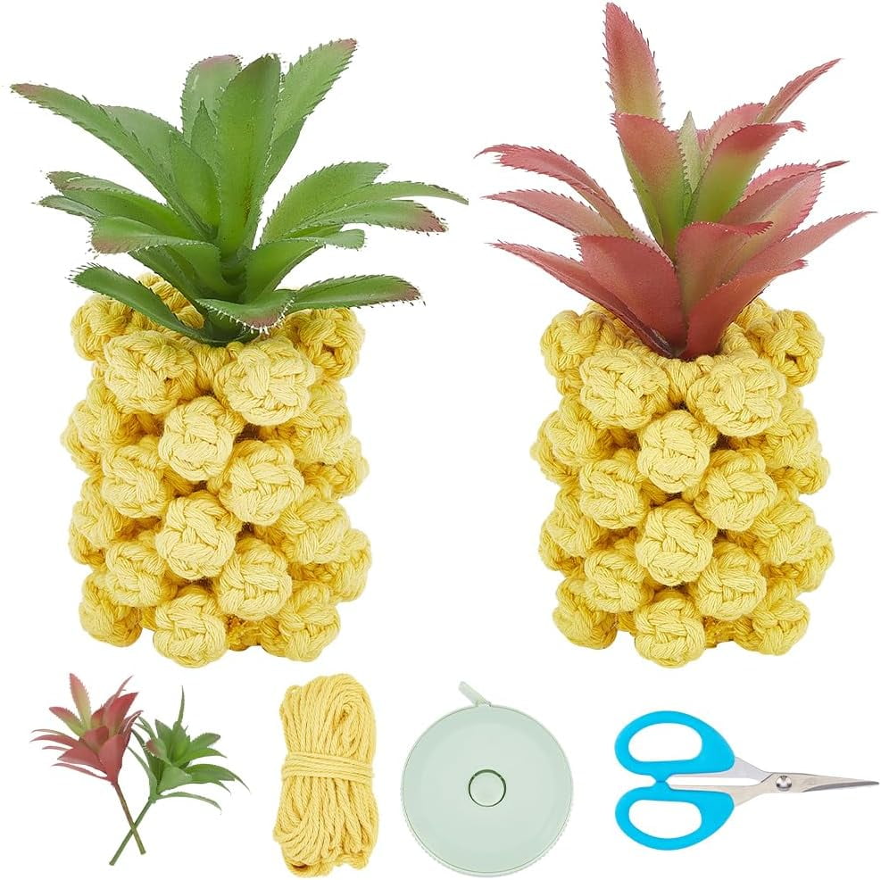 2 Set Pinapple DIY Macrame Pineapple Flower Pot Kit Macrame Ornament ...