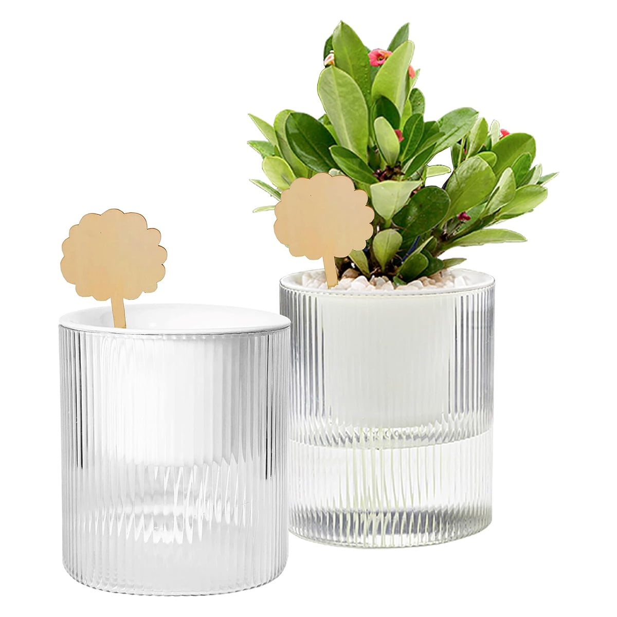 2 Sets Automatic Watering Planter Plant Pot, Wave Pattern Translucent ...