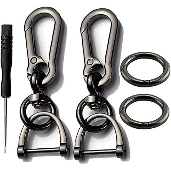 2 Sets Car Keychain car key clip Quick-Release Horseshoe Shape D-Ring ...